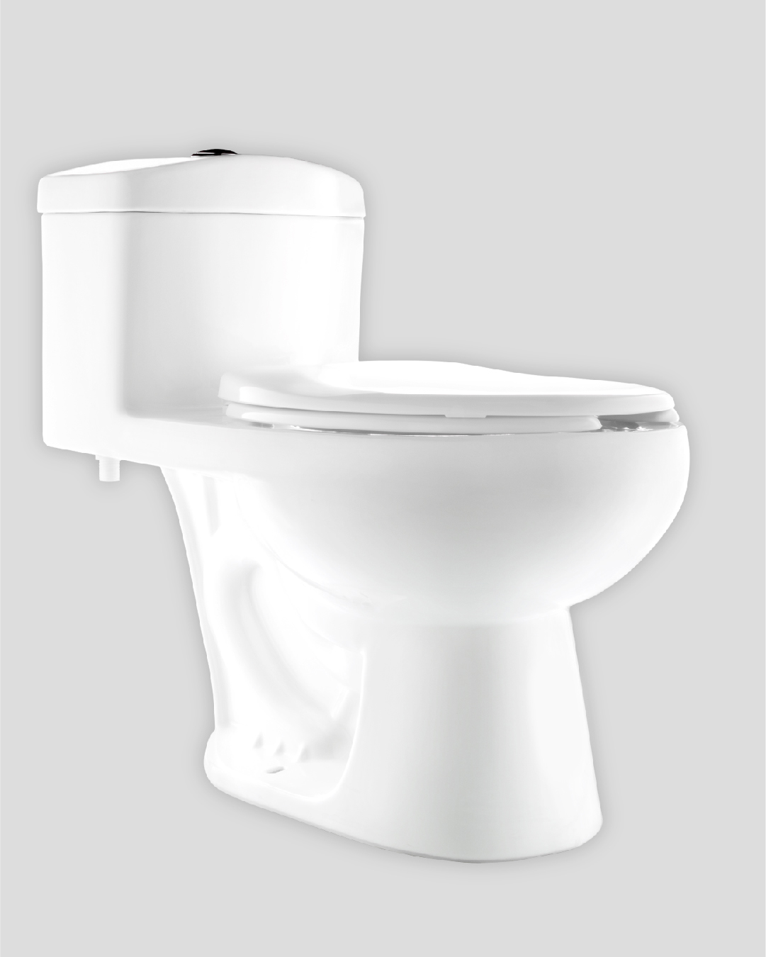 One Piece – Royalty Ceramic